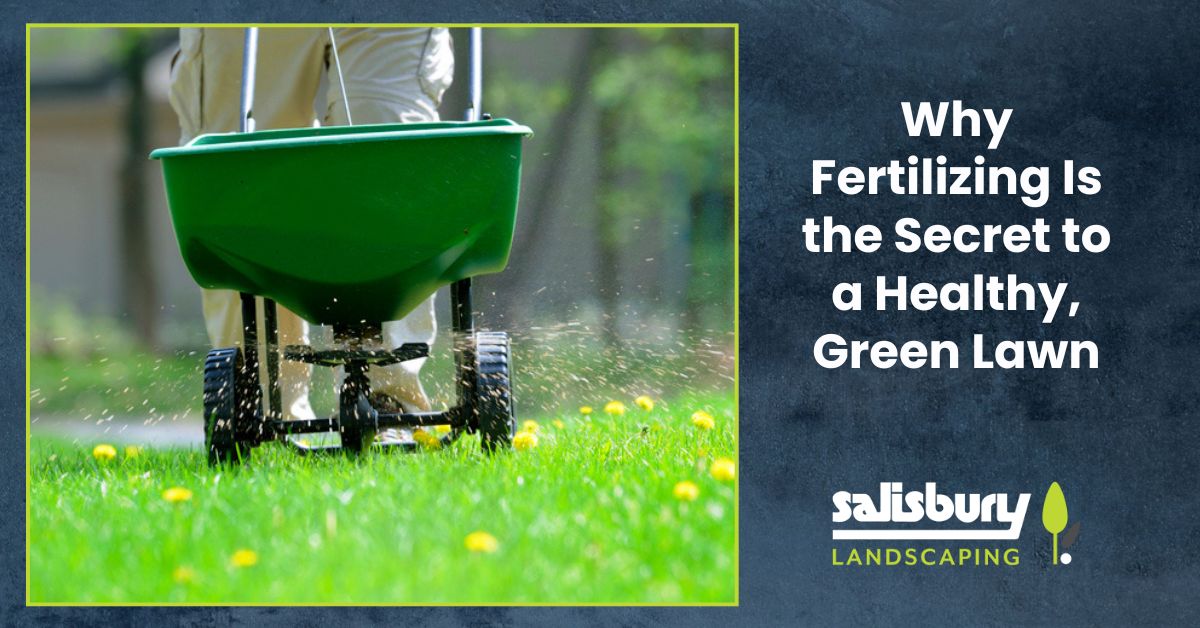 Why Fertilizing Is the Secret to a Healthy, Green Lawn
